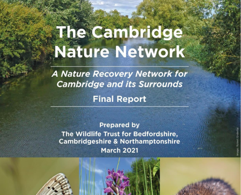 Natural Cambridgeshire - Putting nature at the heart